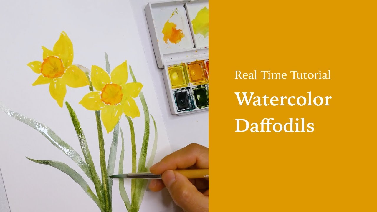 Watercolor Tutorial for Beginners: Daffodils (Real Time)