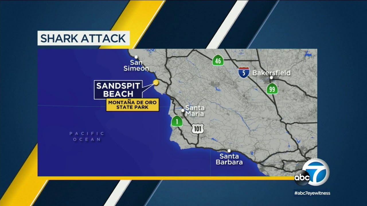 SoCal teen survives shark attack near San Luis Obispo I ABC7