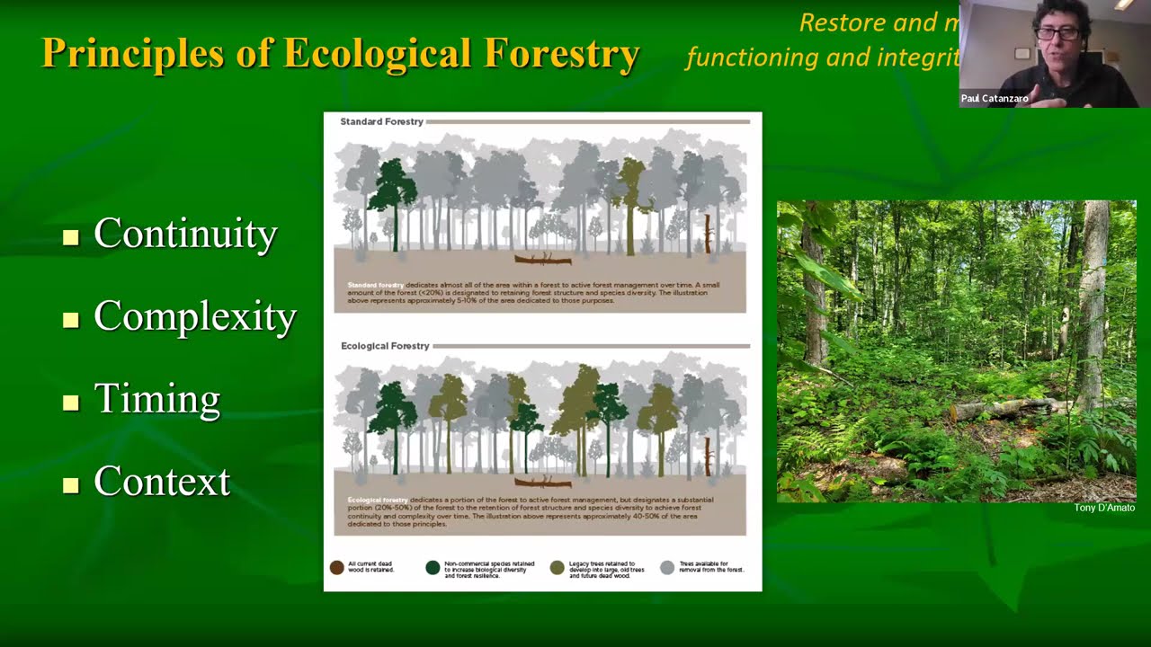 Passive Forest Management Webinar