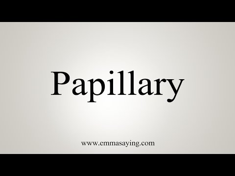 How To Say Papillary
