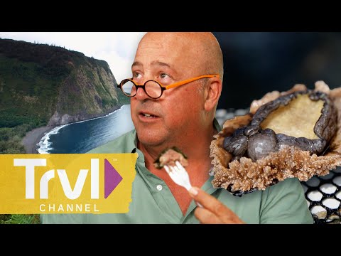 Fresh Lau Lau & Abalone in Hawaii | Bizarre Foods with Andrew Zimmern | Travel Channel