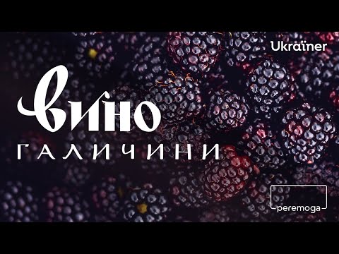 Виноробство Галичини: дикі дріжджі, плодово-ягідне вино й виноград української селекції • Ukraïner