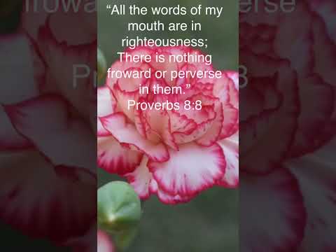 Bible verse🥰#meaningfulquotes#bibleverseoftheday #god#love#flower#rose#wisdom#knowledge#garden#rose