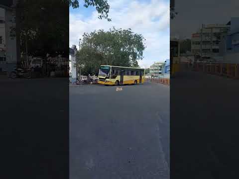 TNSTC TNV PAPANASAM TO NAGERCOIL #bus #tnstc #nagercoil #tirunelveli #rebuild #yellowbus #papanasam
