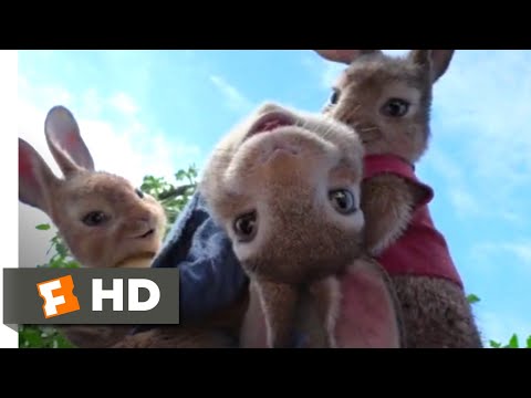 Peter Rabbit - Part 2 basic listenin…: English ESL video lessons