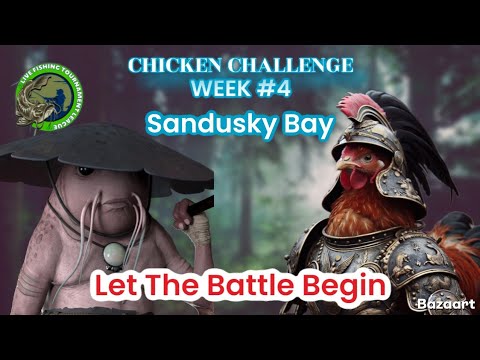 SANDUSKY BAY CATFISHING | LIVE FISHING TOURNAMENT LEAGUE WEEK 4 | CHICKEN CHALLENGE #catfishing