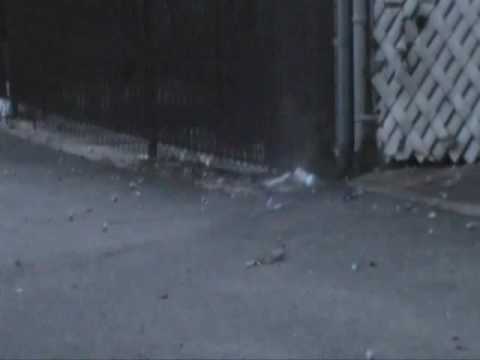 Drano / Works Bomb #001 - Water Bottle