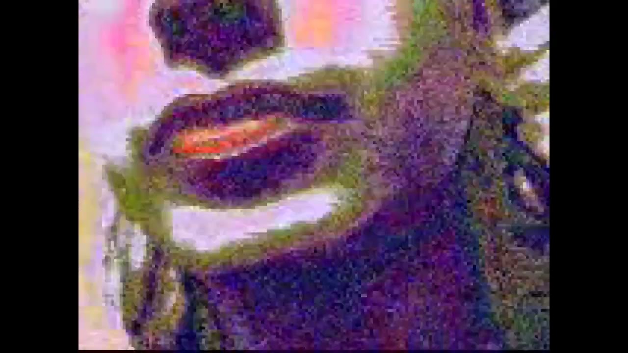 Glass Teletype - Expiry Date (MUSIC VIDEO)