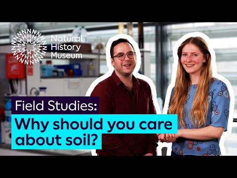 What is soil and why is it important? | Field Studies