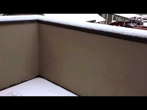 Snowfall in redmond.. Snowflakes falling video