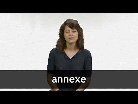 English Translation of “ANNEXE” | Collins French-English Dictionary