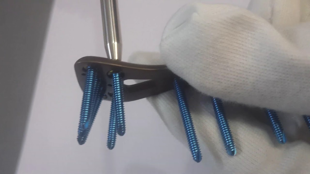 Variable Angle Volar plate