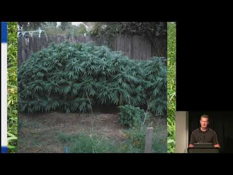 Mike Nelson - CBD and Cannabinoids: Beneficial Plant compounds or all hype? - AHS19