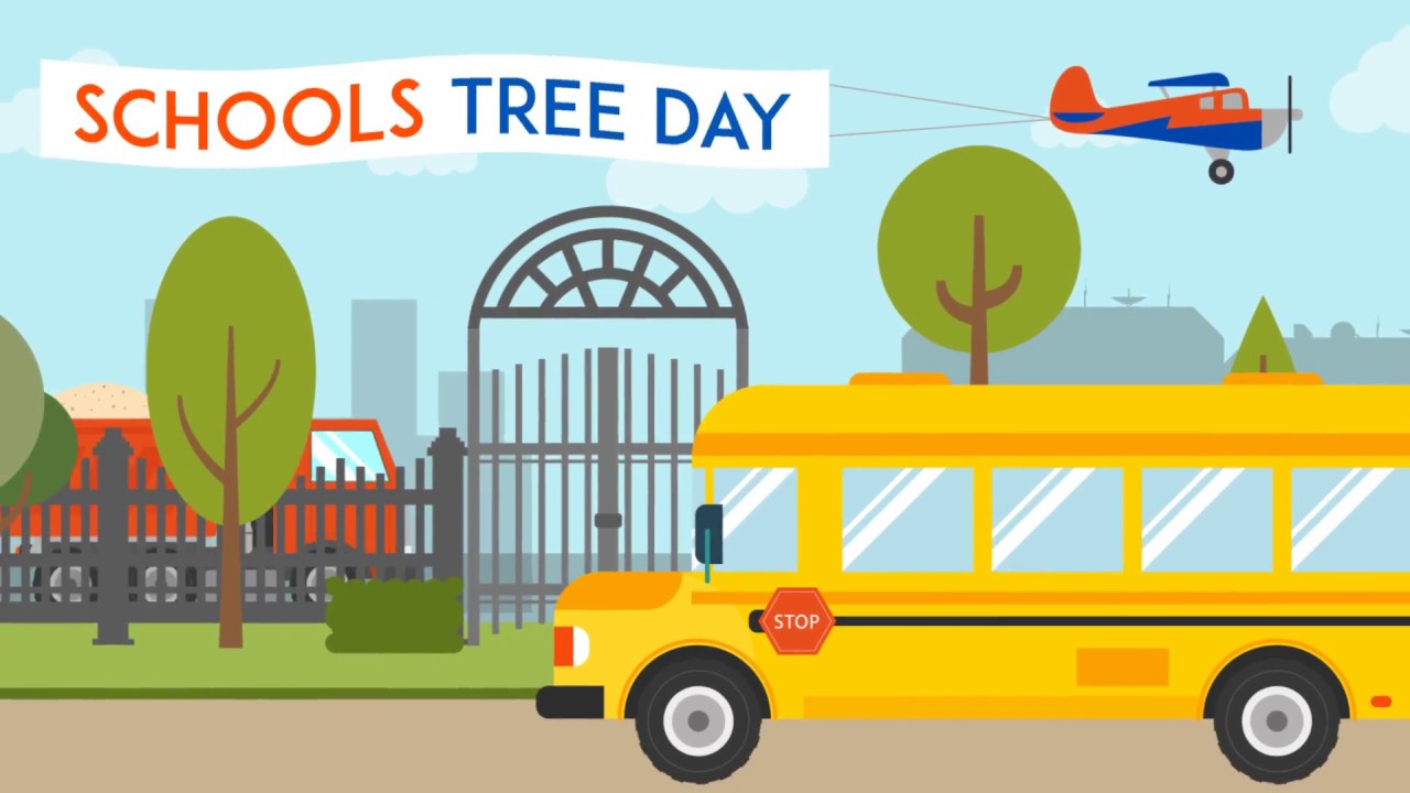 What We Can Learn From Schools Tree Day