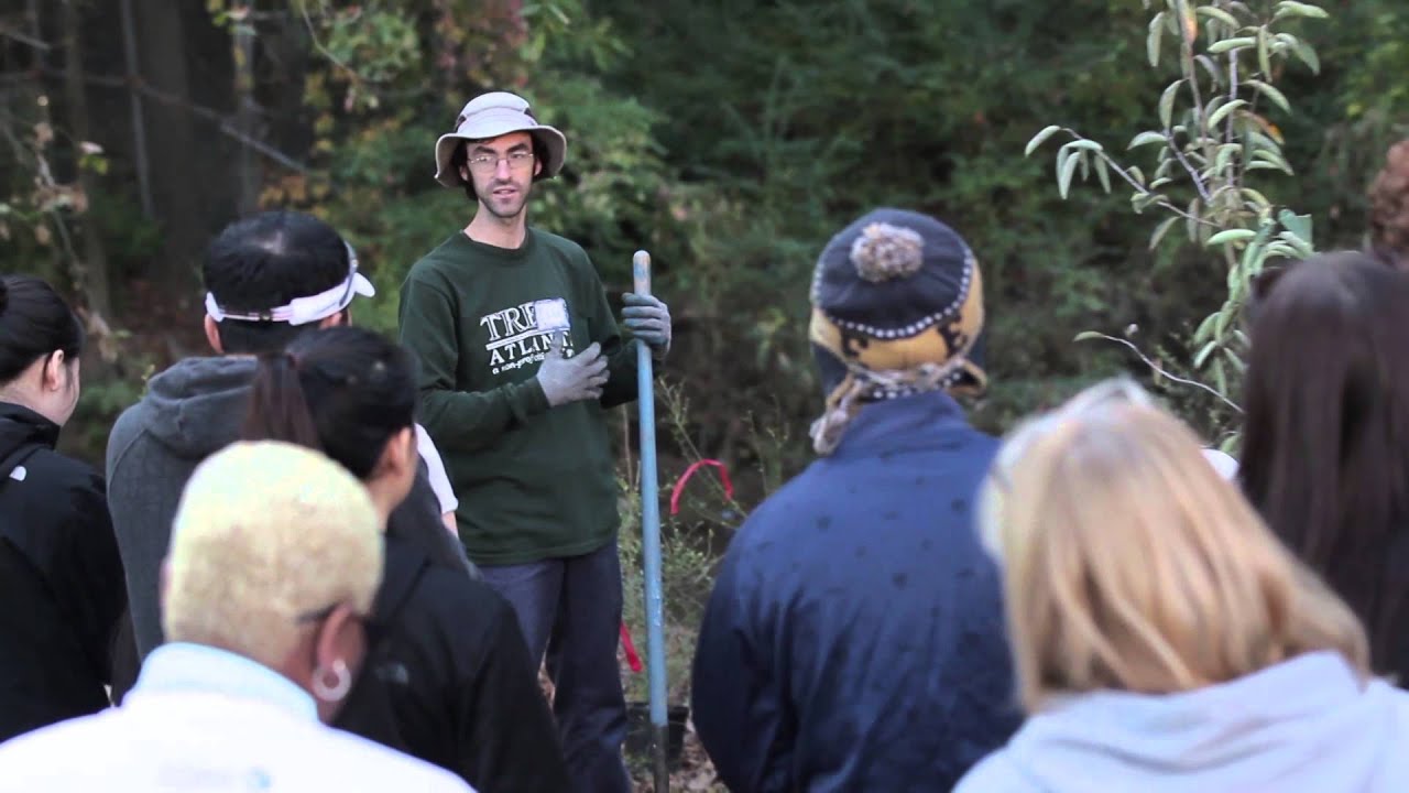 What Does It Take To Grow A Beautiful Atlanta?