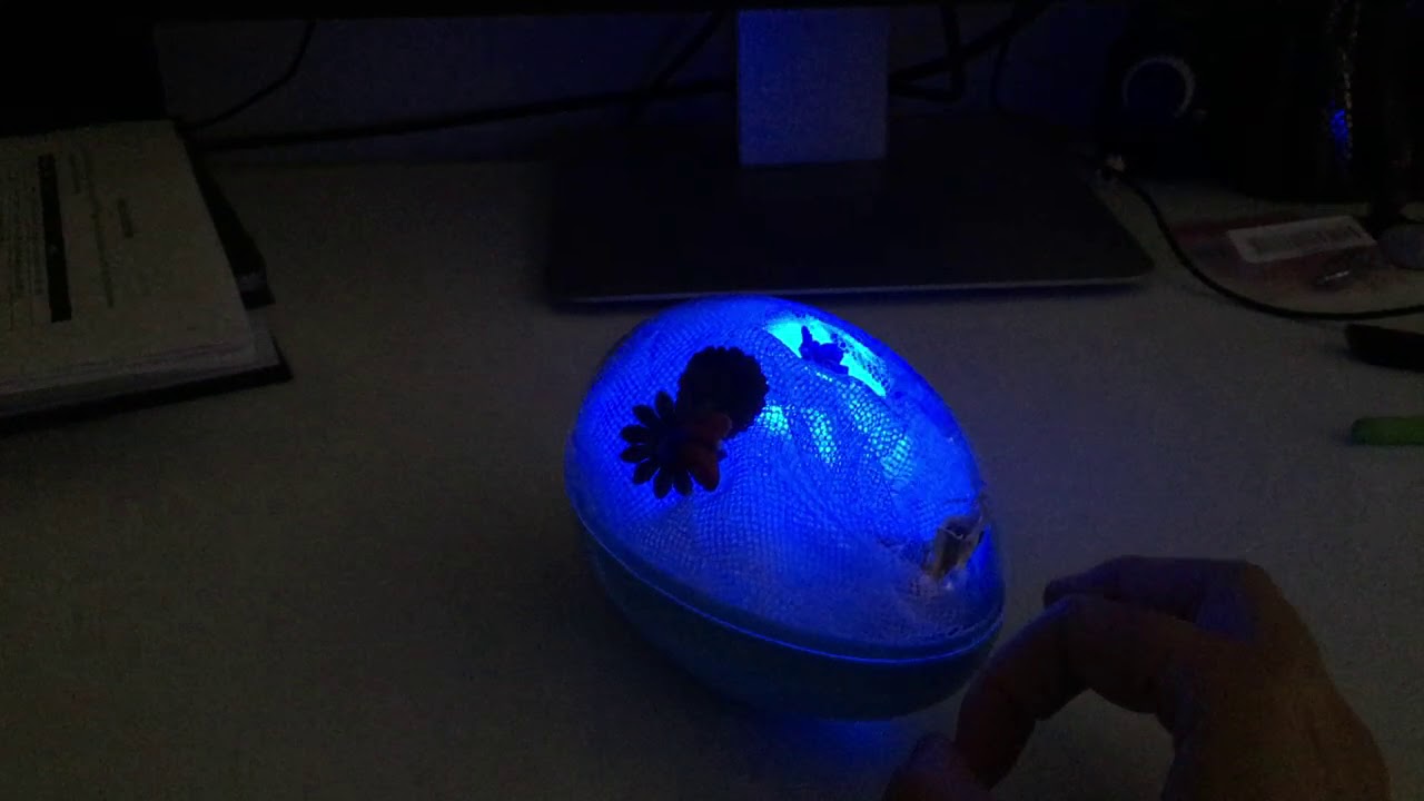 Physical Computing/ Midterm Project_Wake Up An Egg!