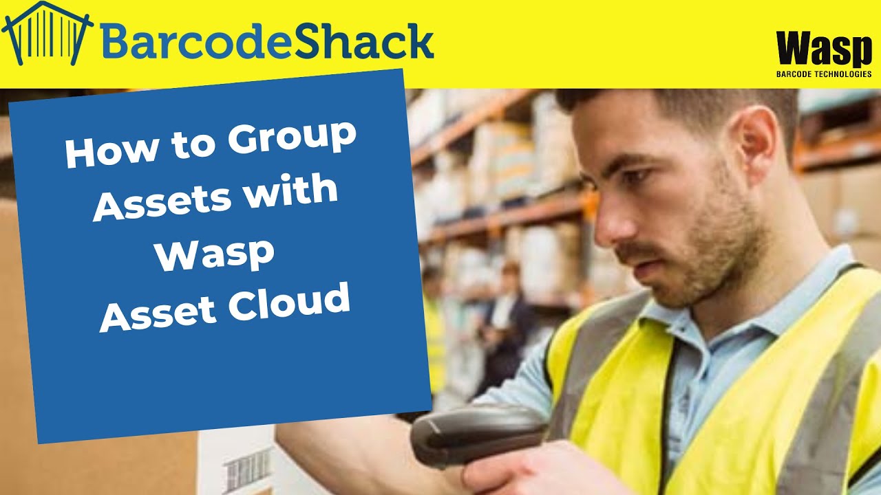 Asset Grouping for Wasp Asset Cloud