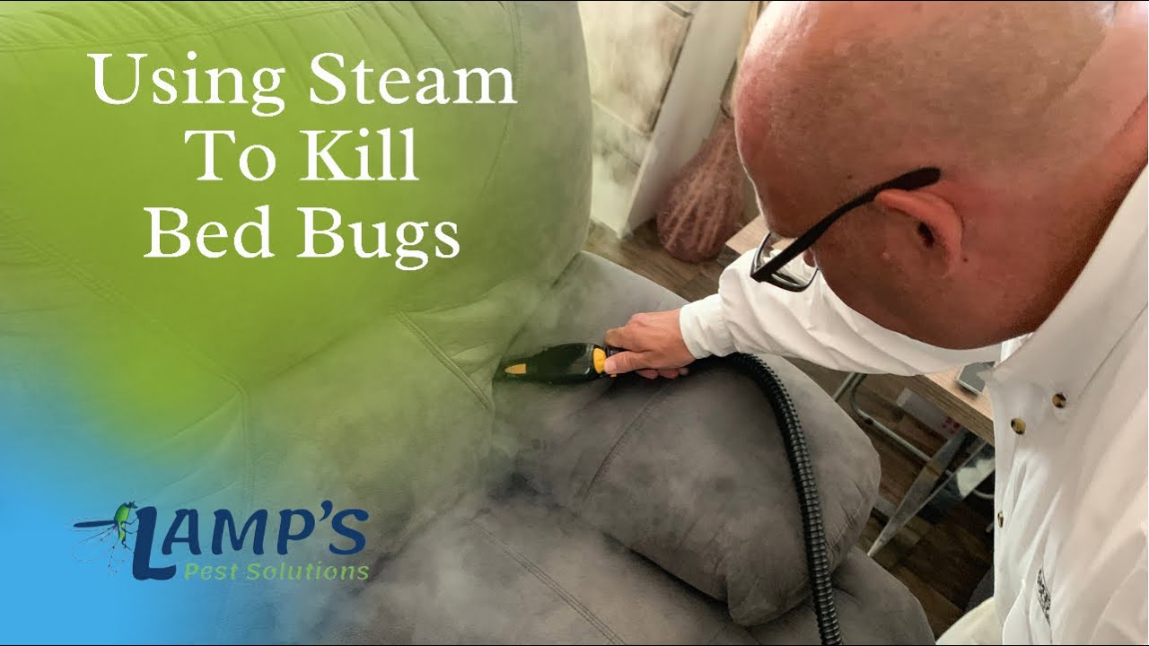 Bed Bug Treatment: using STEAM TO KILL BED BUGS.