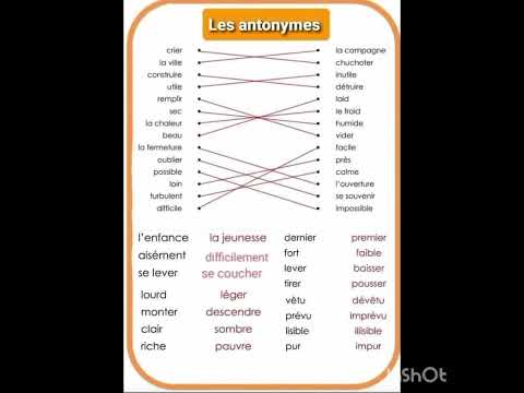 des mots avec leurs antonymes