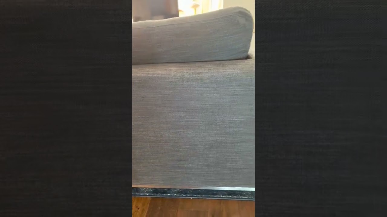 Article Sleeper Sofa