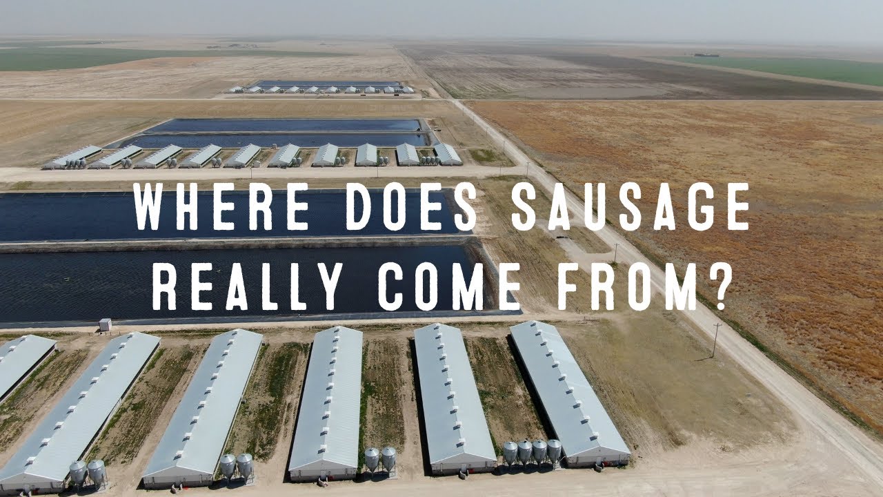 Drone Pilot: Where Does Sausage Really Come From?