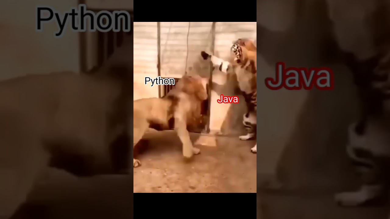 Python vs Java | coding status🔥🔥|#shorts #java #python #trending