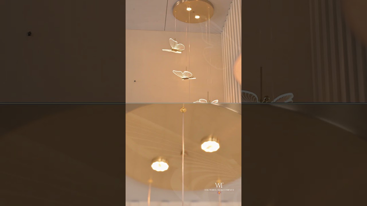 Whimsical conversation starter