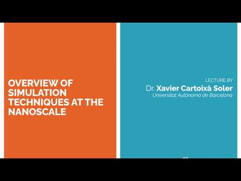 Overview of Simulation Techniques at the Nanoscale