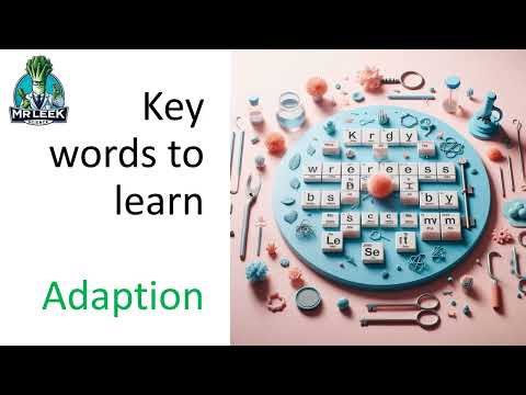 Adaption key words definitions KS3