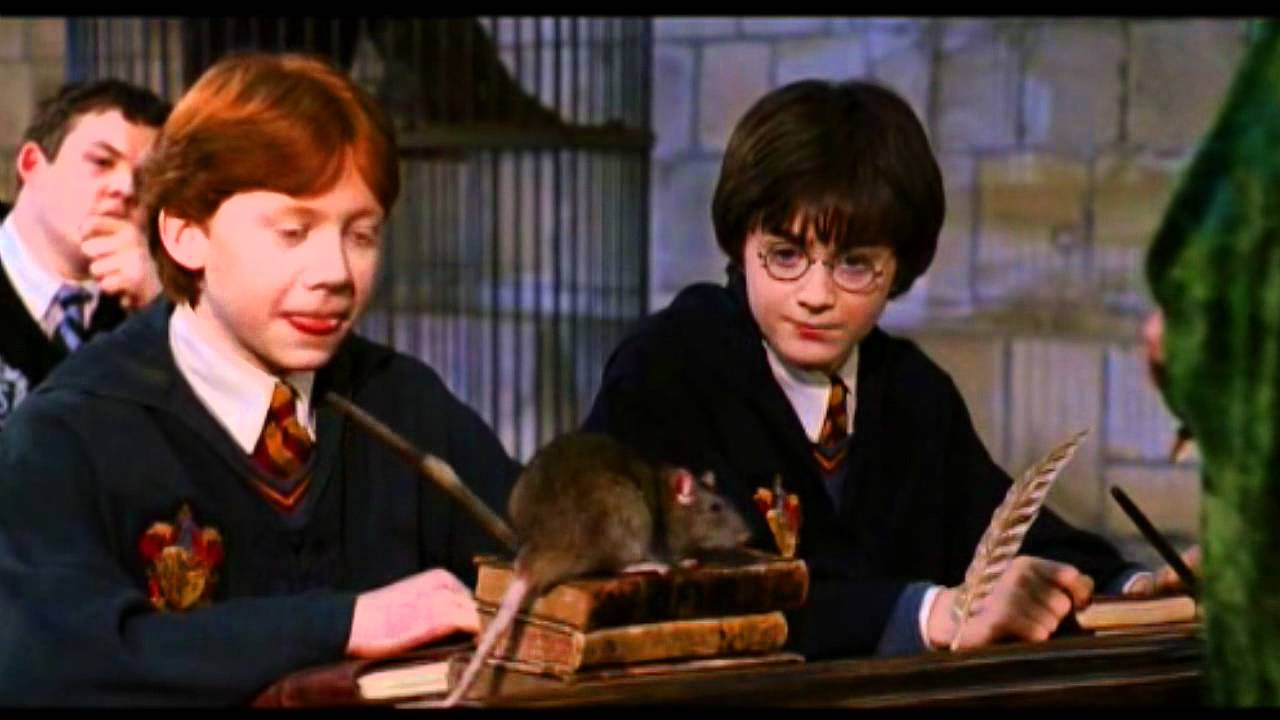 Funny Weasley Scene #36 | 