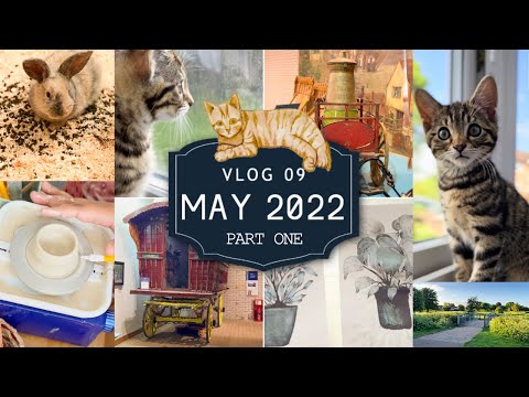 NEW KITTEN | MAKING POSTCARDS | MUSEUM TRIP | VLOG 09 | PART 1