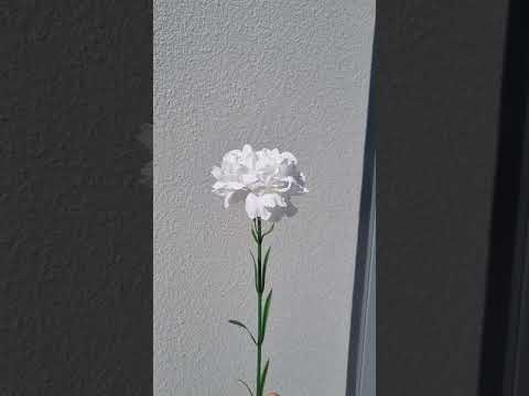 Artificial carnation white