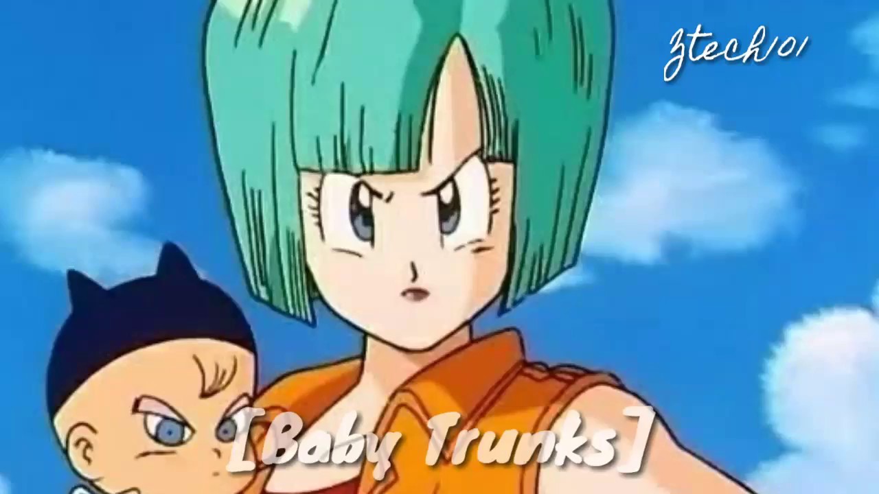 Trunks All Forms and Transformations 2017