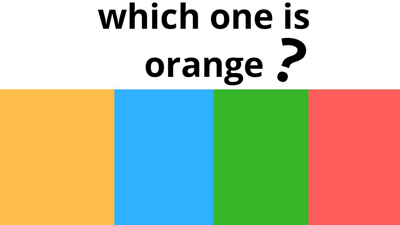 EASIEST TEST EVER...