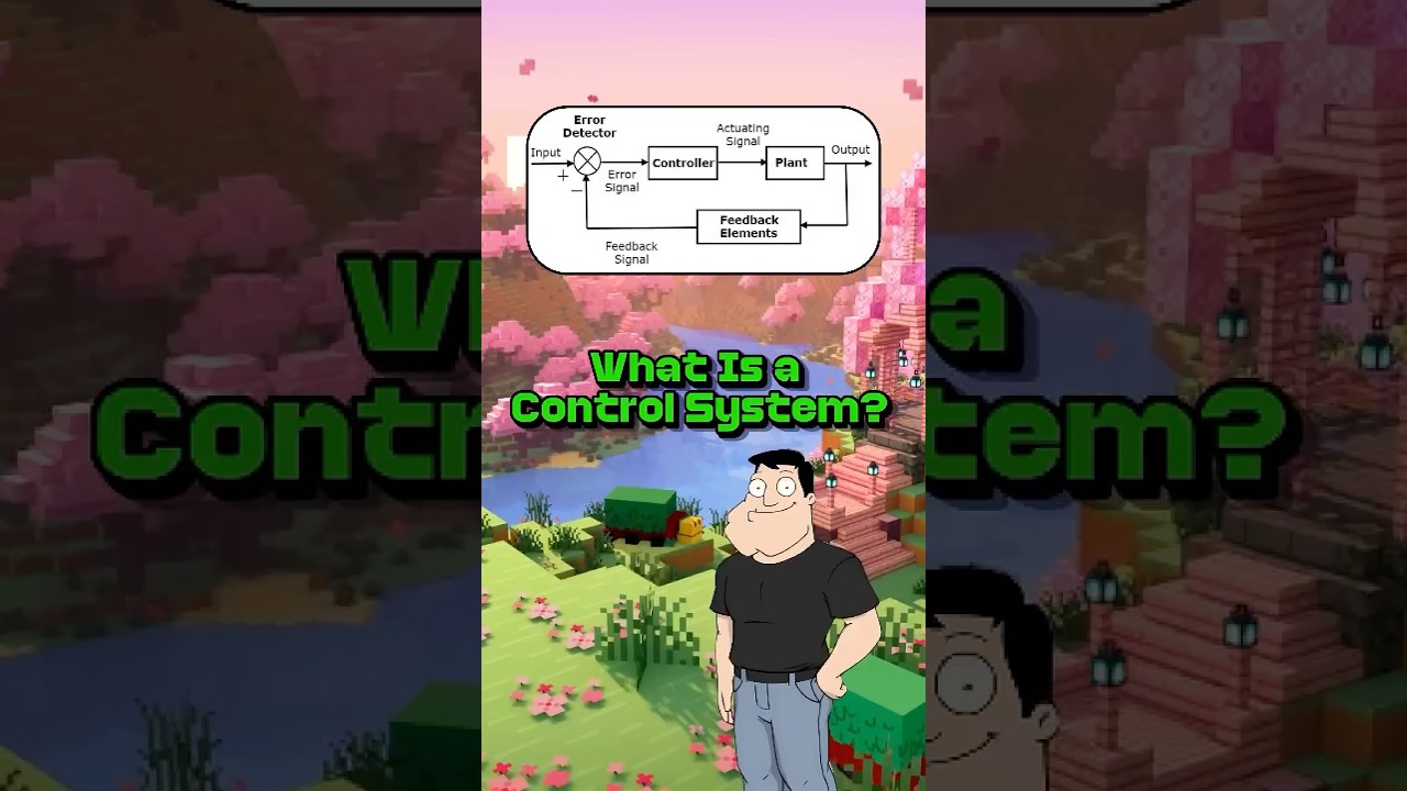 What is a control system?