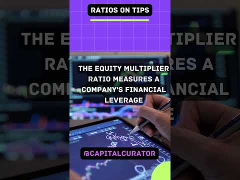 EQUITY MULTIPLIER RATIO