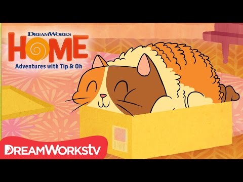 How To Be A Cat | DreamWorks Home Adventures With Tip and Oh