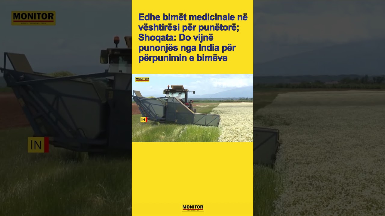 Edhe bimët medicinale në vështirësi për punëtorë; Shoqata Do vijnë punonjës nga India