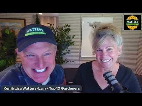 What You Should Know About Watering in the Summer