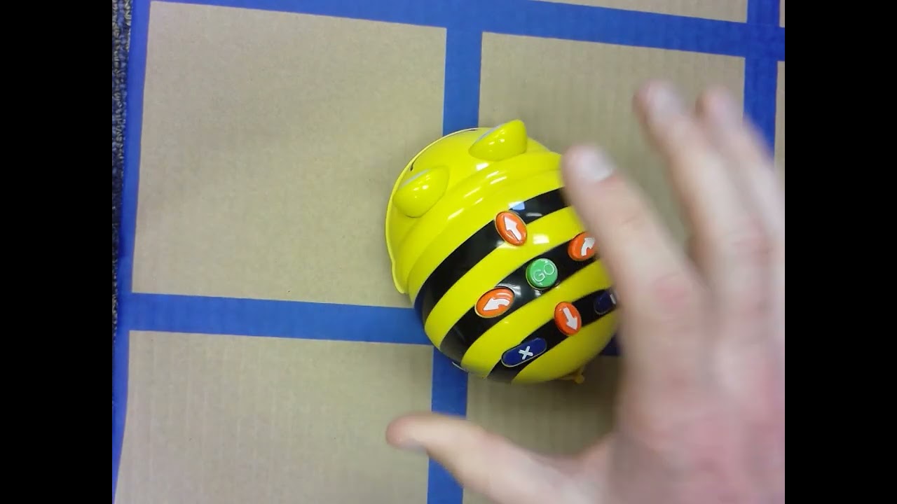 Rules for Using Bee-Bots