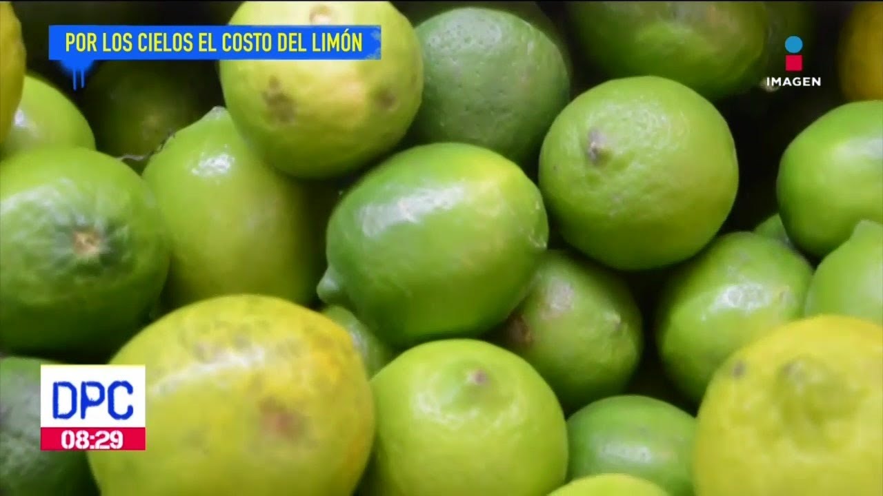 Carísimo, así el precio del limón  | De Pisa y Corre