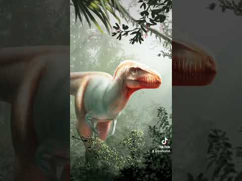 Dinosaur Names!