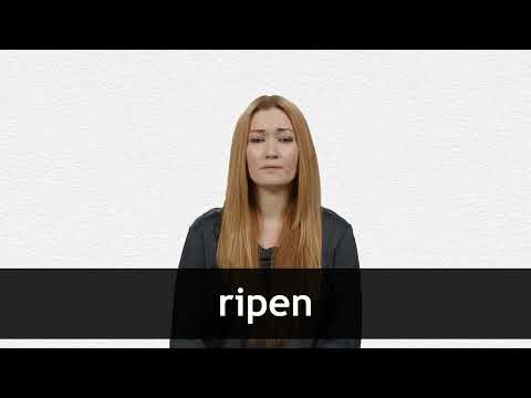 RIPEN definition and meaning | Collins English Dictionary