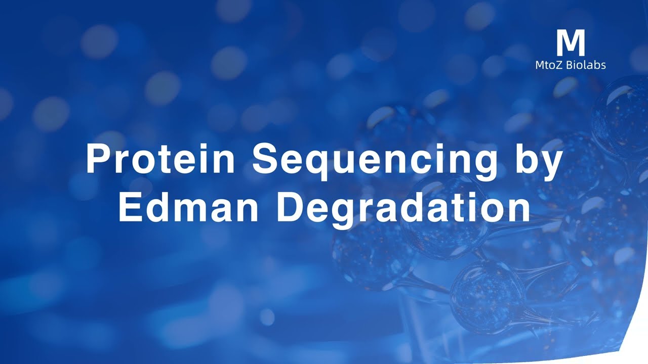 Tandem Mass Spectrometry-Based Protein Identification
