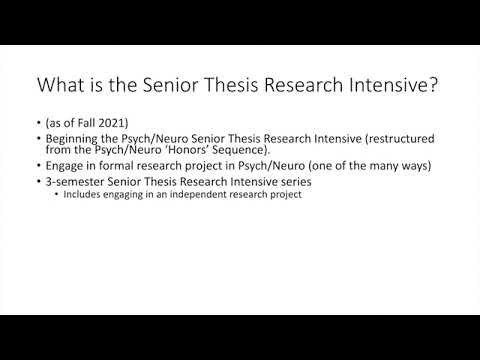 What is the Senior Thesis Research Intensive?