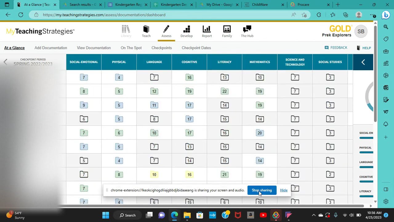 Teaching Strategies Documentation Check