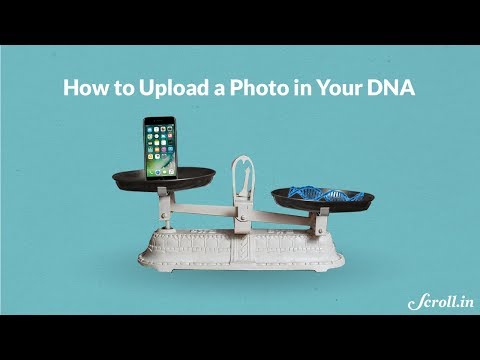 How to Store Data in your DNA