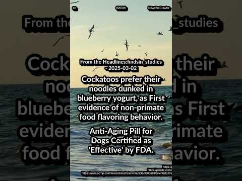 Cockatoos like noodles dunked. AntiAging Pill: Dogs. Genetic link between Attila, Xiongnu of China