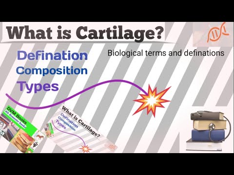 What is cartilage? Defination #DVM