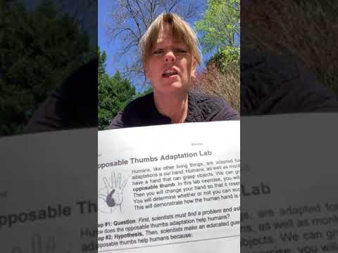 Opposable Thumb Lab